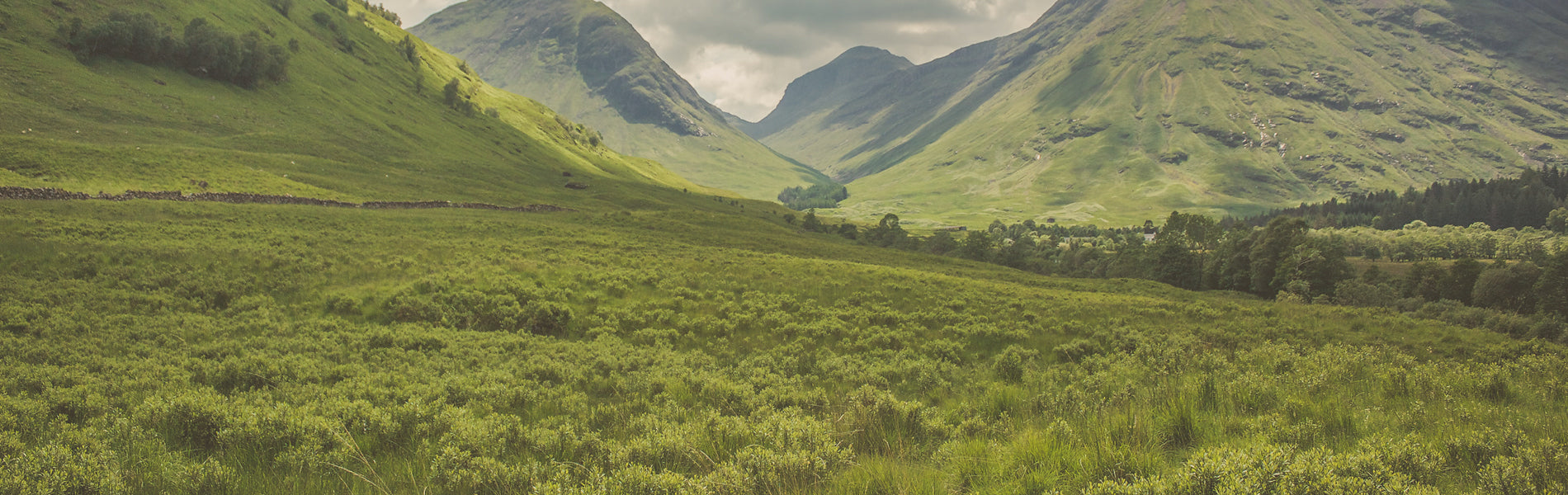 PHYDERMA Skincare – frenchpharmacy.com